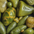 Gallstones Size Chart: Know The Facts, Protect Your Gallbladder